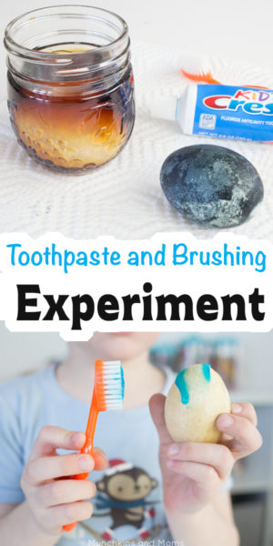 Toothpaste and Brushing Experiment – Munchkins and Moms
